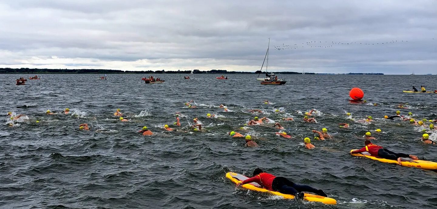Boddenschwimmen Greifswald – Tradition seit 1921